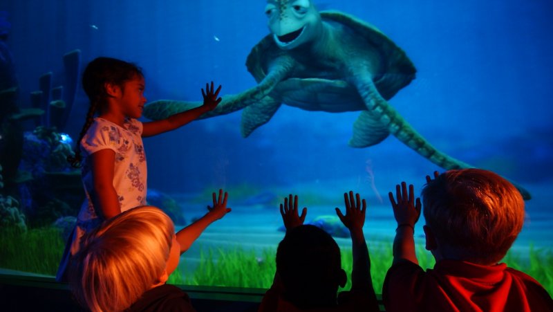 Turtle Talk with Crush: How Does It Work? - WDW Vacation Tips