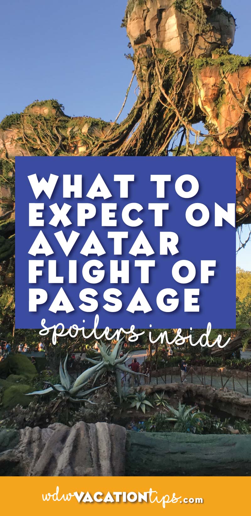 What to Expect on Avatar Flight of Passage • WDW Vacation Tips