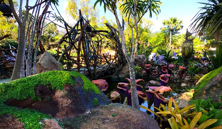 Accomplish Everything in Disney Pandora • WDW Vacation Tips