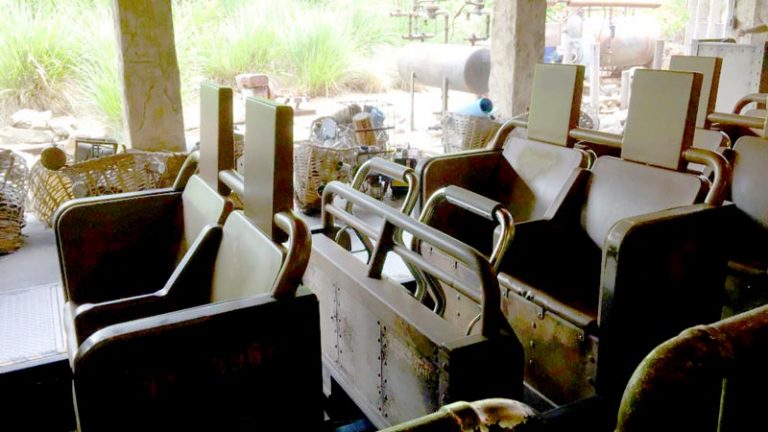 Weight Limits on Disney Rides • WDW Vacation Tips