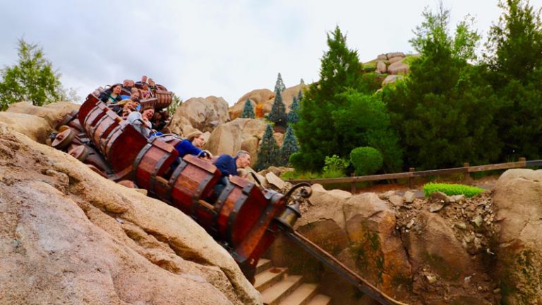 10 Biggest Ride Drops in Disney World • WDW Vacation Tips