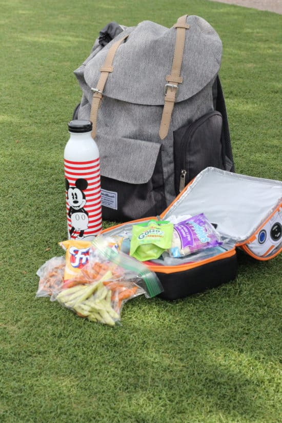 How to Picnic at Disney World with Toddlers - WDW Vacation Tips