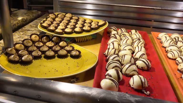 Zebra Domes • WDW Vacation Tips