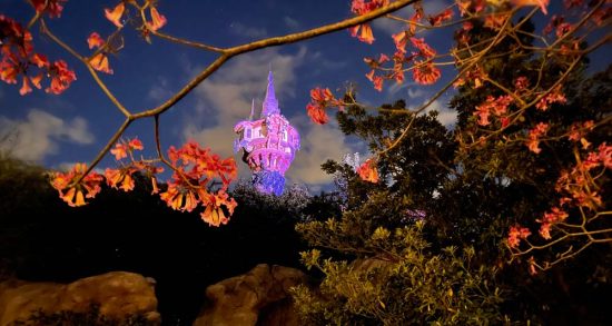 Where to Find Rapunzel at Disney World - WDW Vacation Tips