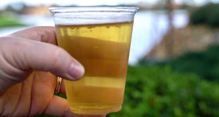 How Much Does it Cost to Drink Around the World at Epcot? • WDW ...