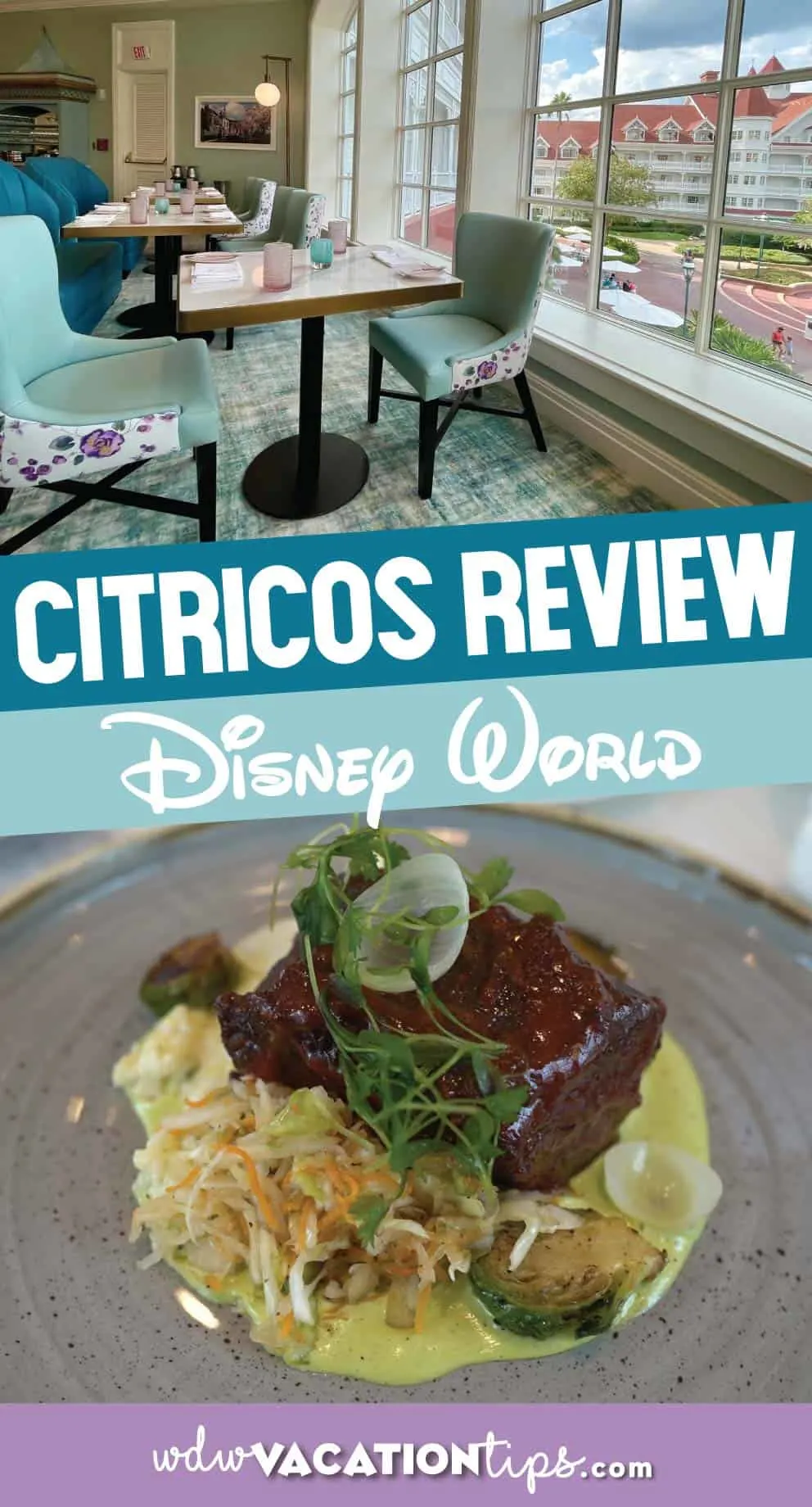 Citricos Dining Review • WDW Vacation Tips