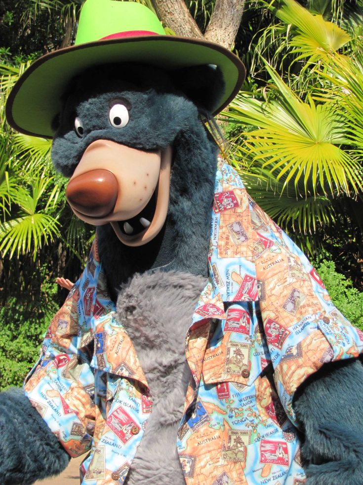 Complete List of Disney Bears • WDW Vacation Tips