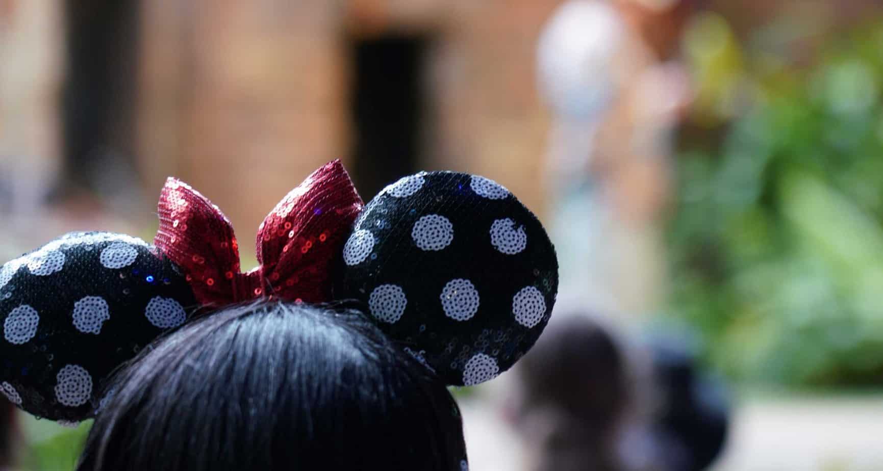 Everywhere to Find Minnie Mouse in Disney World: PLUS the Collection ...