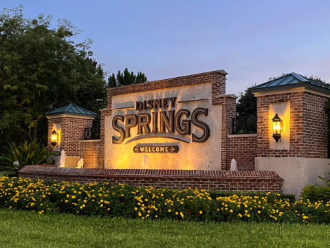 Just What is Disney Springs at Walt Disney World • WDW Vacation Tips