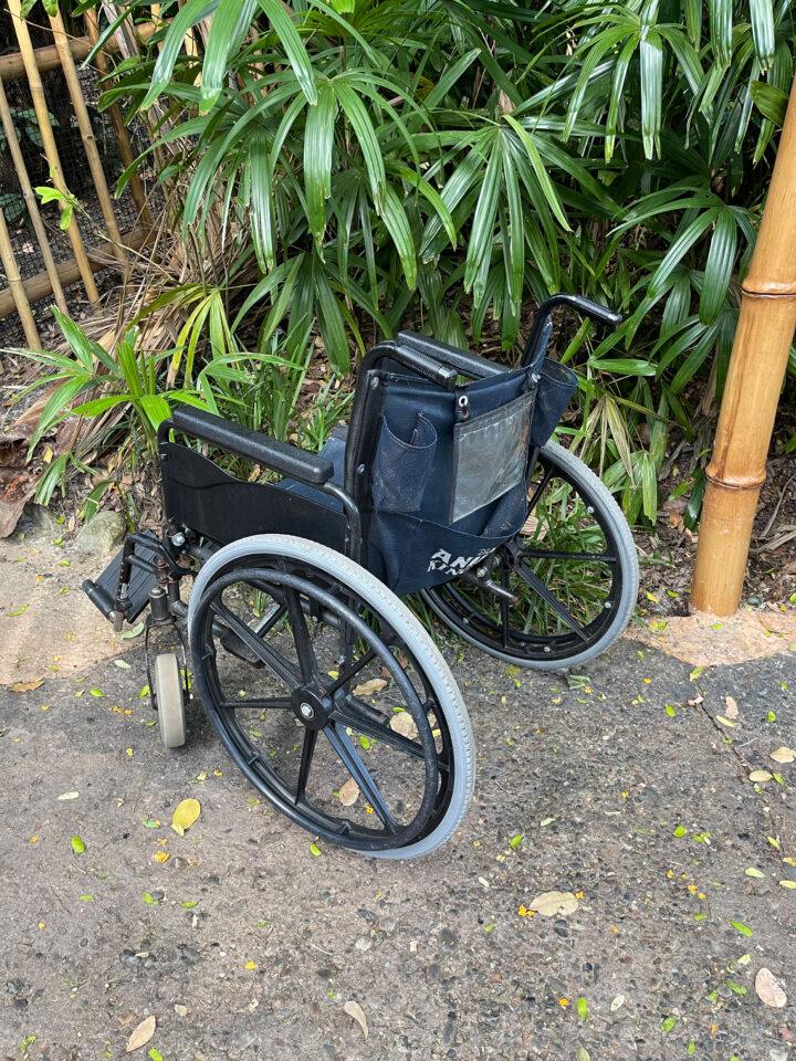 What is Disney’s DAS Pass: Who Qualifies, How to Apply, and How to Use ...