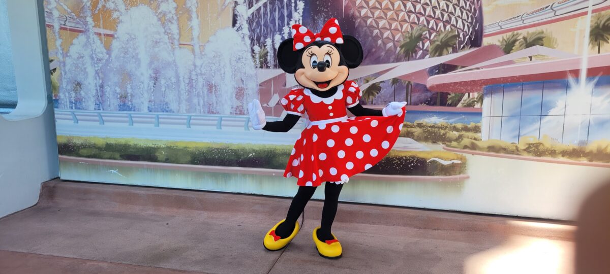 Everywhere to Find Minnie Mouse in Disney World: PLUS the Collection ...