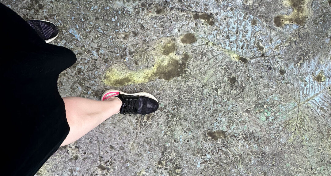 Disney Walking and How to Prepare • WDW Vacation Tips