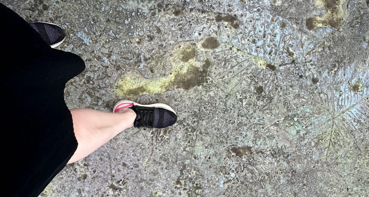 Disney Walking and How to Prepare • WDW Vacation Tips